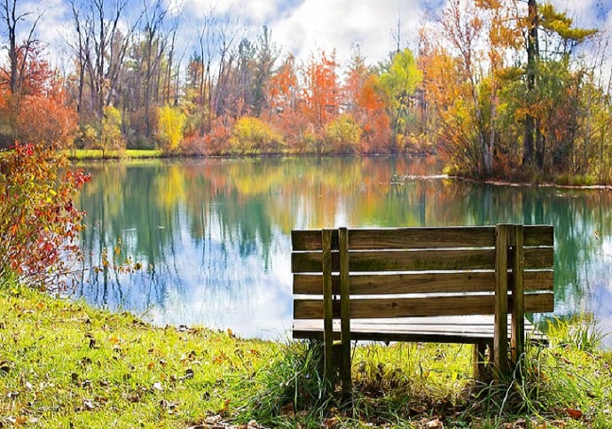 ŘÍJNOVÝ TÝDEN *12. 10. – 18. 10. 2020 - Zahrádkářův rok